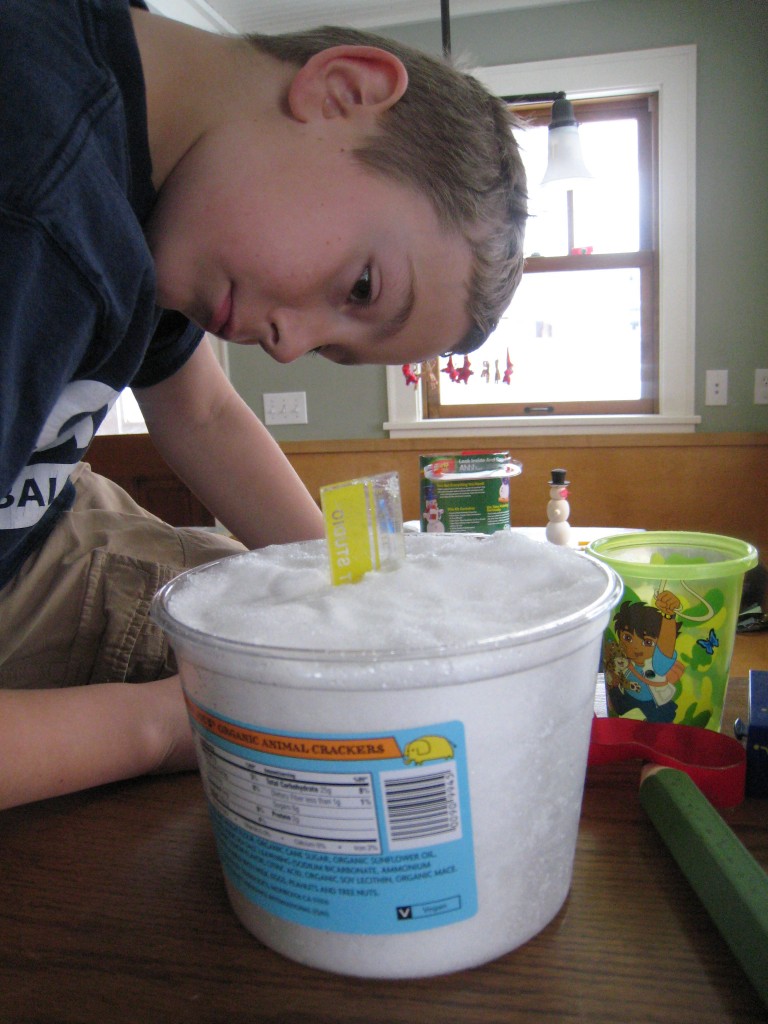Holiday Break Science Experiments « The Kitchen Pantry Scientist