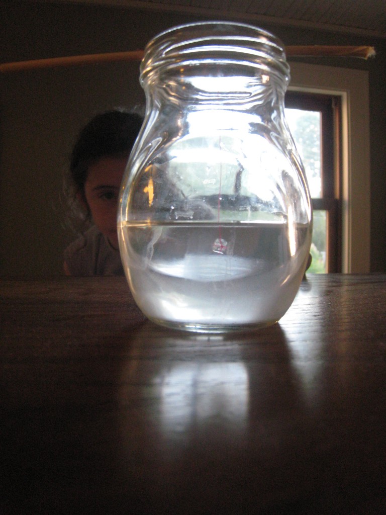 alum « The Kitchen Pantry Scientist