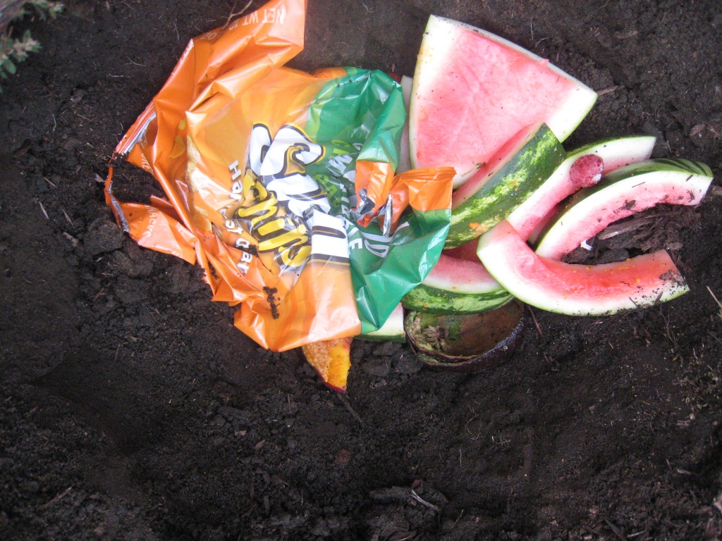 Composting Detectives- Day 2 of Science Camp « The Kitchen Pantry Scientist