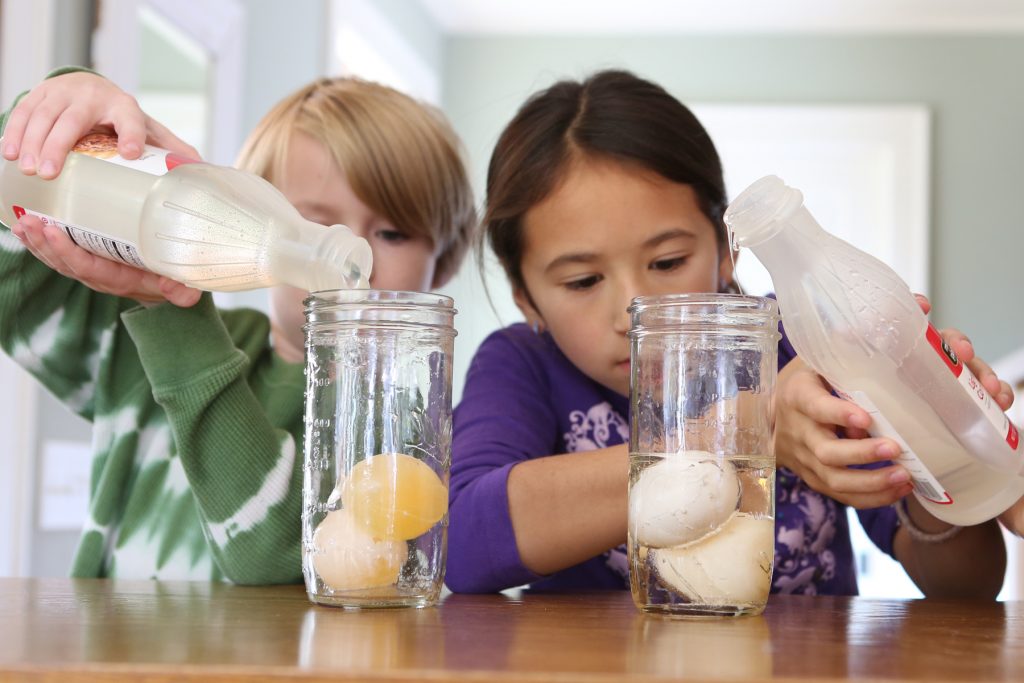 Alien Monster Eggs « The Kitchen Pantry Scientist