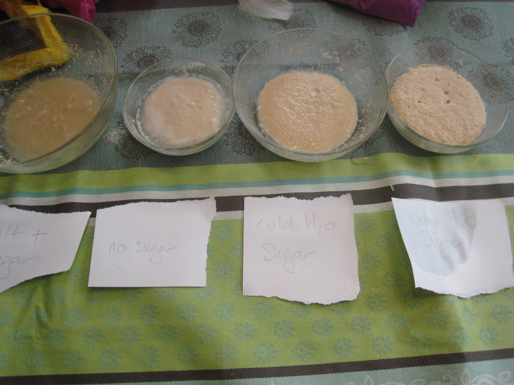Yeast Experiment: Pyramids, Pasteur and Plastic Baggies « The Kitchen ...