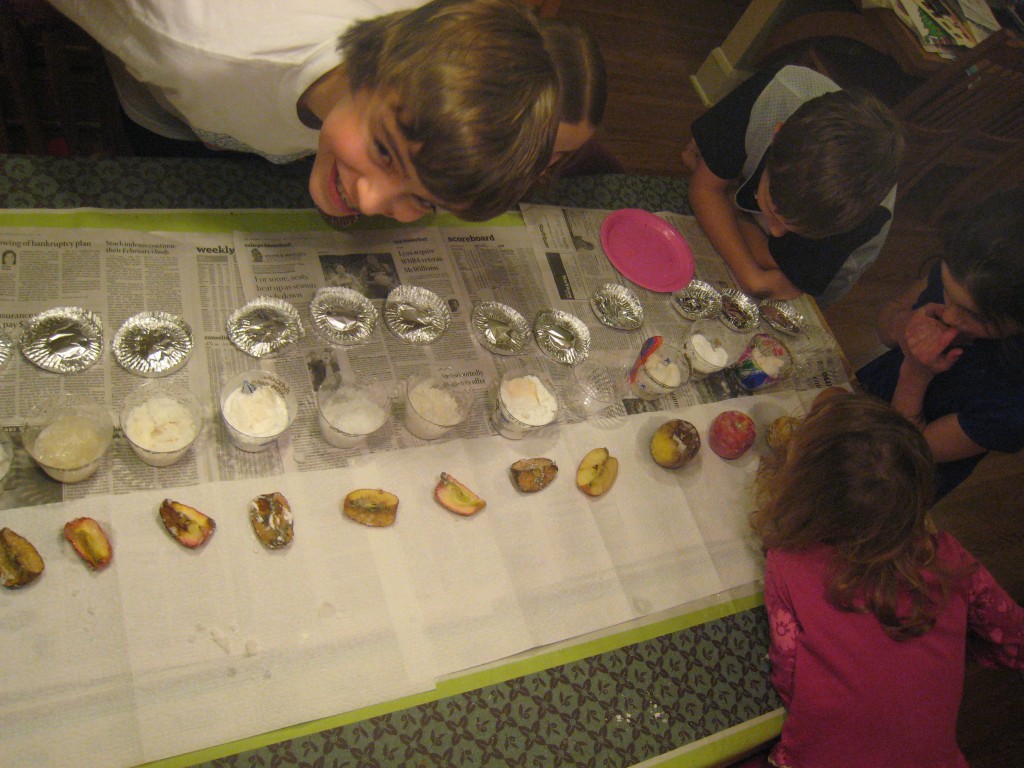 How to Mummify Apples « The Kitchen Pantry Scientist