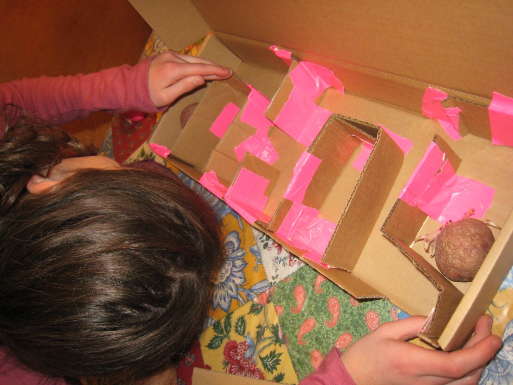 Potato Maze « The Kitchen Pantry Scientist