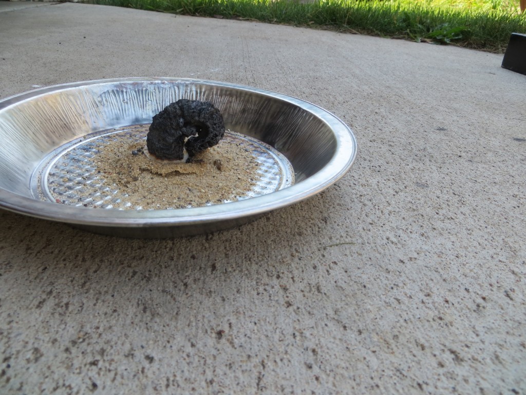 Flammable Science: Homemade Black Snake Fireworks « The Kitchen Pantry ...