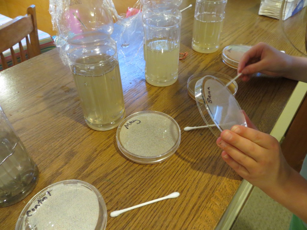 Survival Science: Water Filters « The Kitchen Pantry Scientist