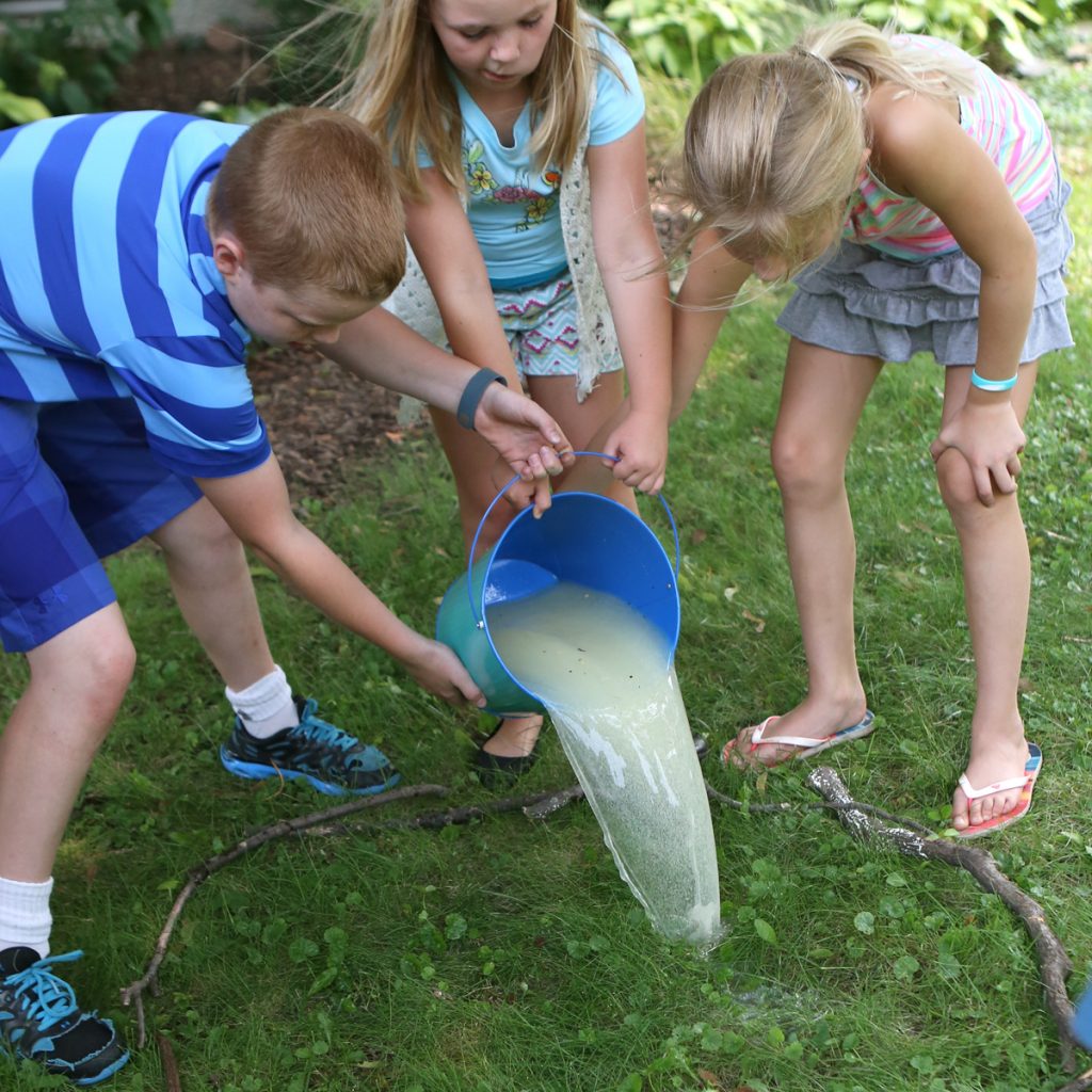 Earthworm Experiment: Alien Invaders! « The Kitchen Pantry Scientist