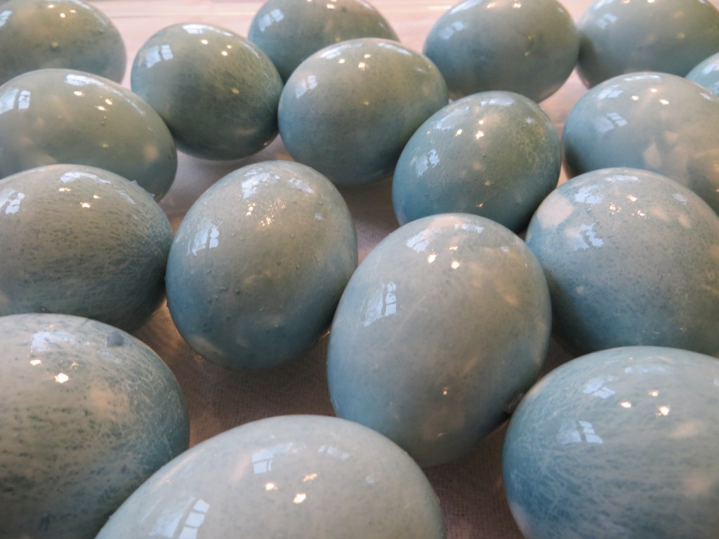 March Eggs « The Kitchen Pantry Scientist