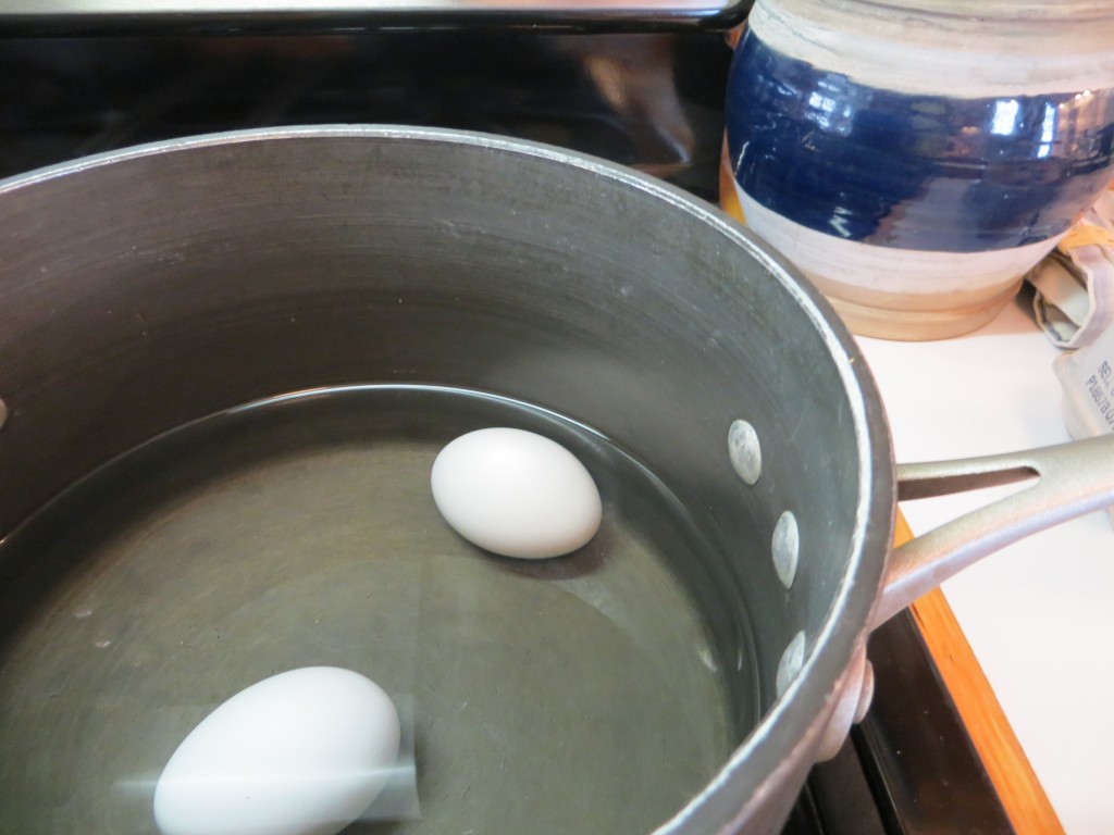 The Science of Hard-Boiled Eggs « The Kitchen Pantry Scientist