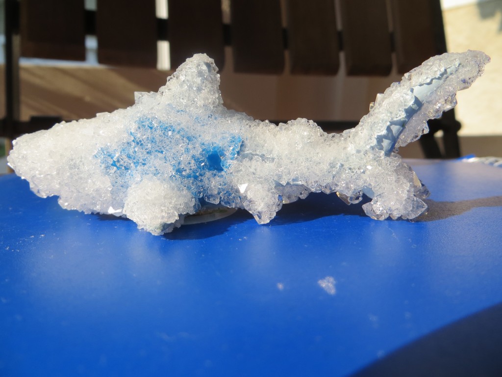 Growing Alum Crystals in Eggshells « The Kitchen Pantry Scientist