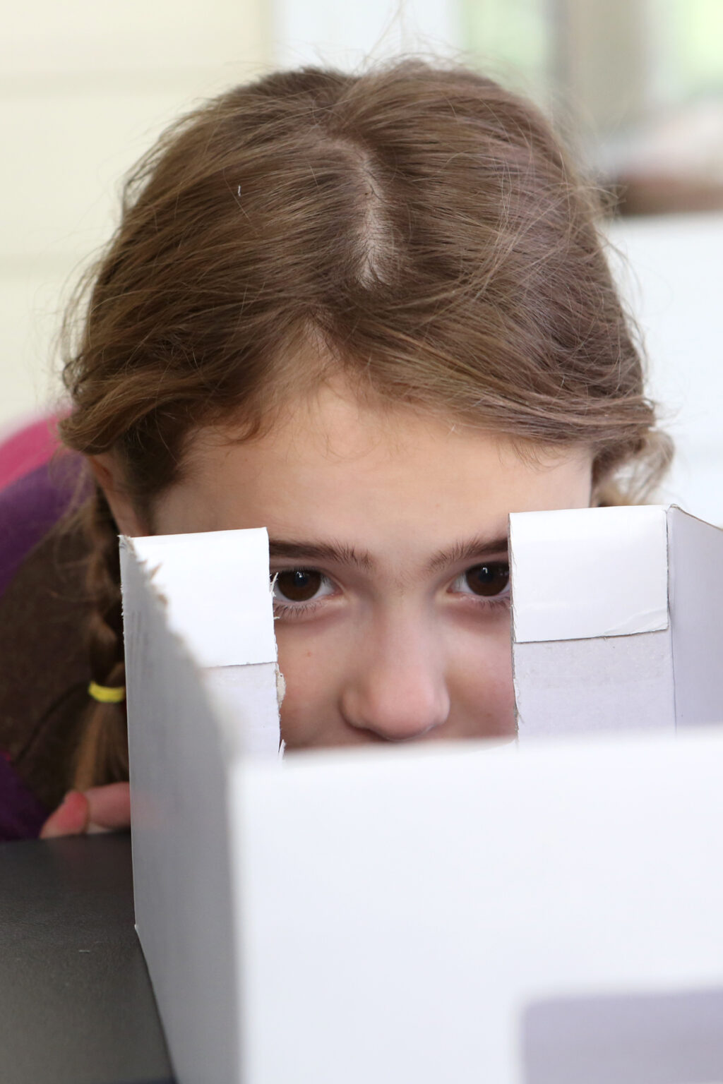 Shoe Box Solar Viewer for Watching a Solar Eclipse « The Kitchen Pantry ...