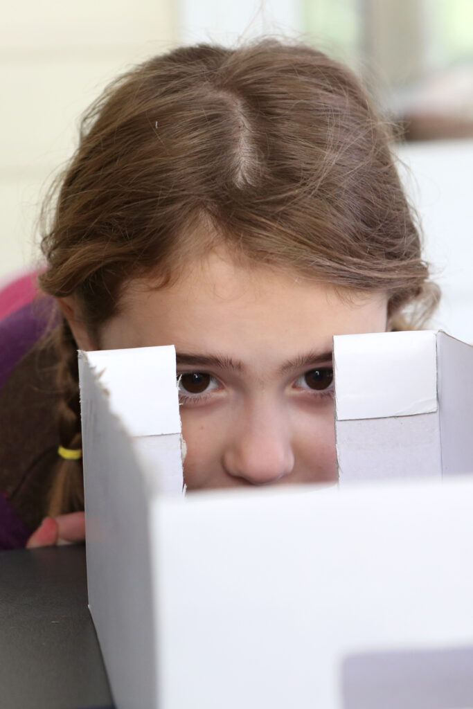 Shoe Box Solar Viewer for Watching a Solar Eclipse « The Kitchen Pantry ...