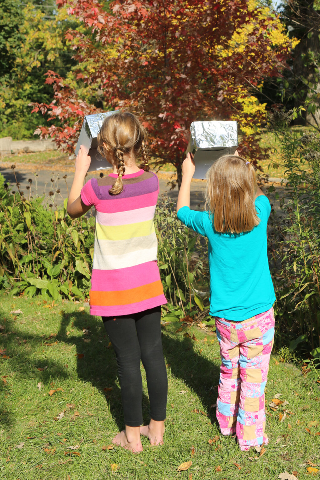 Shoe Box Solar Viewer for Watching a Solar Eclipse « The Kitchen Pantry ...