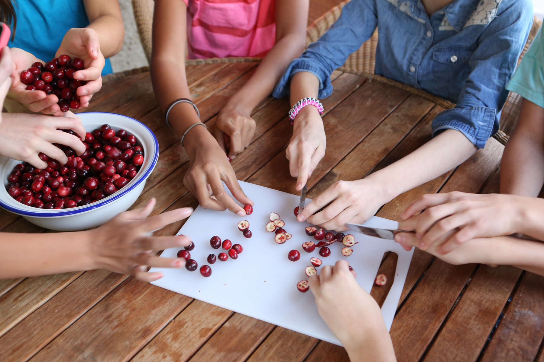 Thanksgiving Food Science: Cranberry Spy Juice « The Kitchen Pantry ...