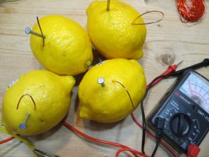 Lemon Batteries « The Kitchen Pantry Scientist