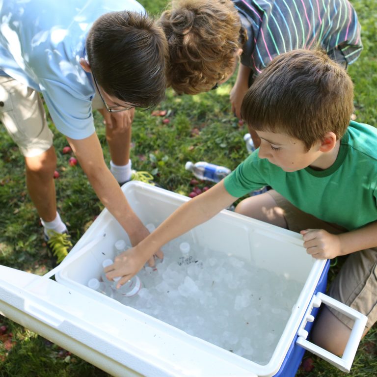 Physics Experiments « The Kitchen Pantry Scientist