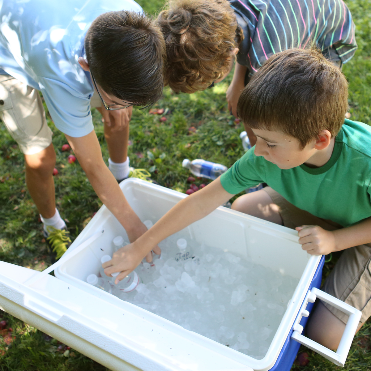Supercool! Ice Science for Kids « The Kitchen Pantry Scientist