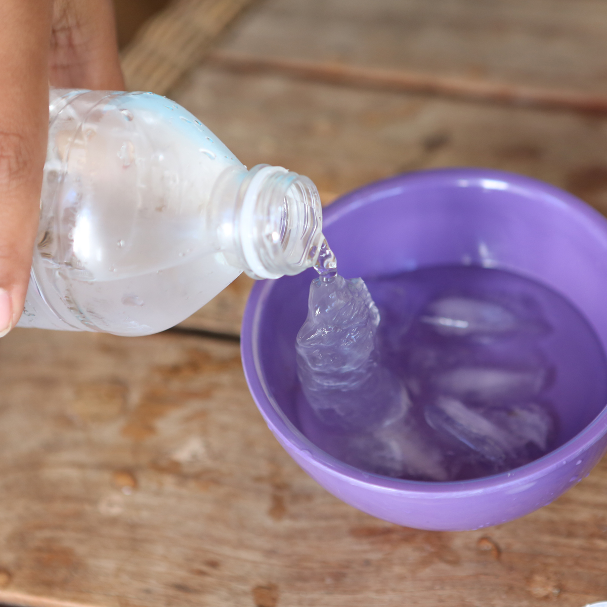 The Kitchen Pantry Scientist