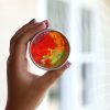 kids « The Kitchen Pantry Scientist