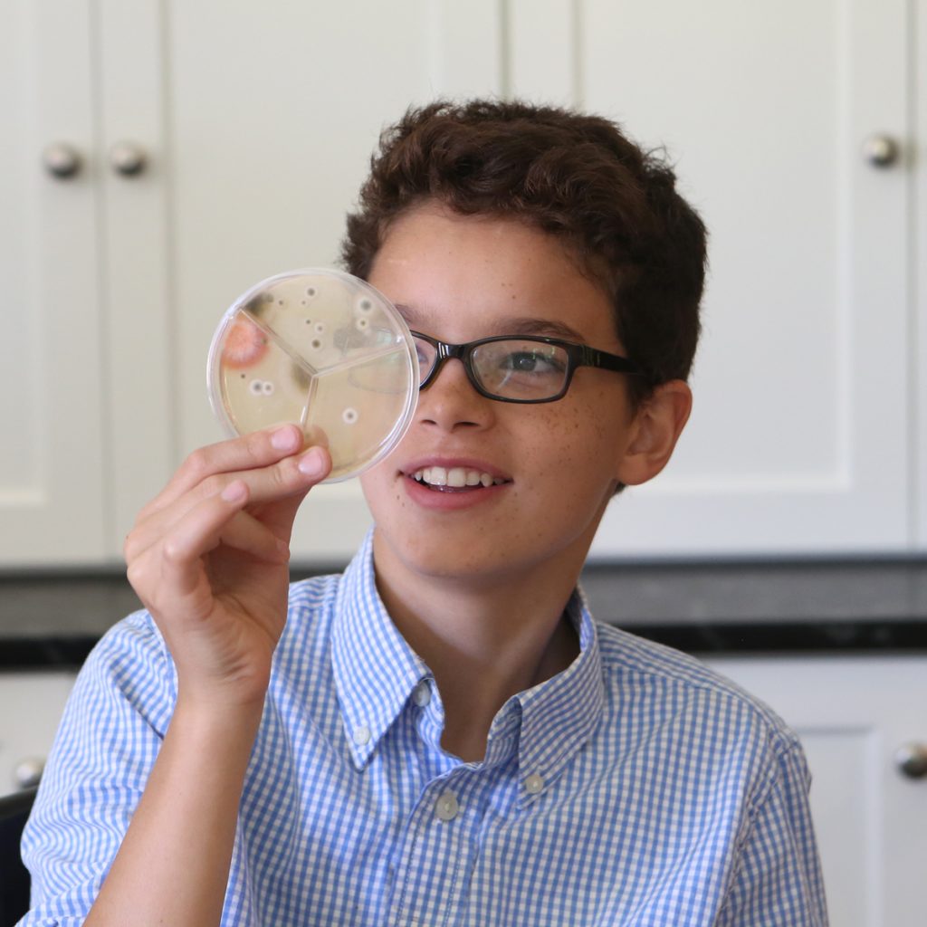 Homemade Petri Plates « The Kitchen Pantry Scientist