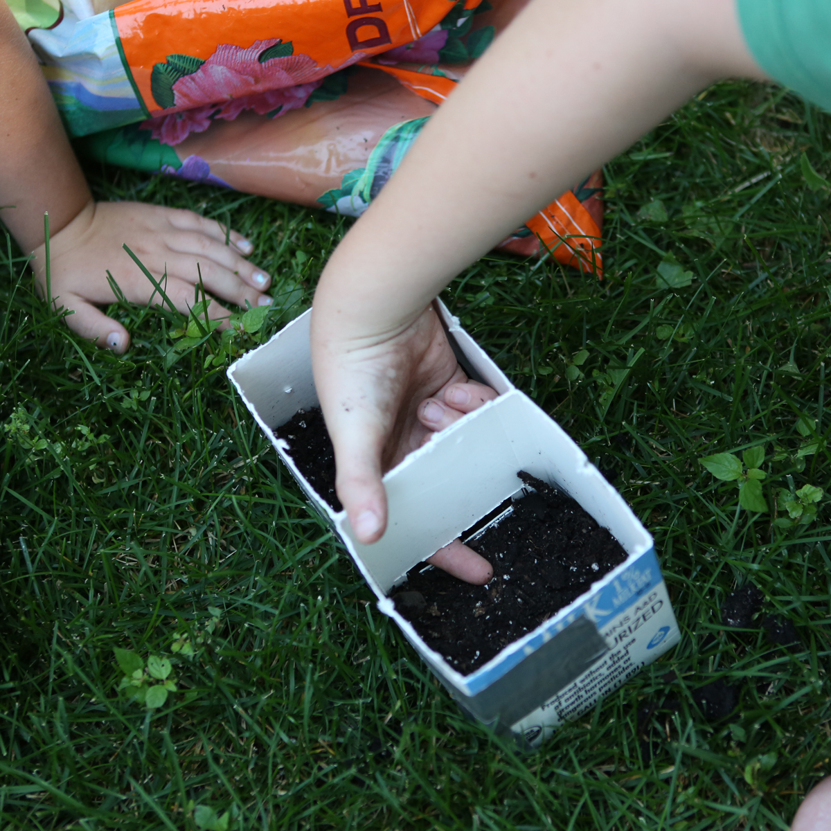 Catching Bugs: 5 Science Projects from Outdoor Science Lab for Kids ...