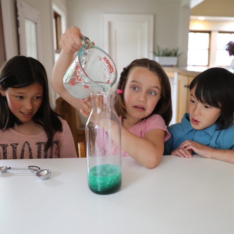 The Kitchen Pantry Scientist