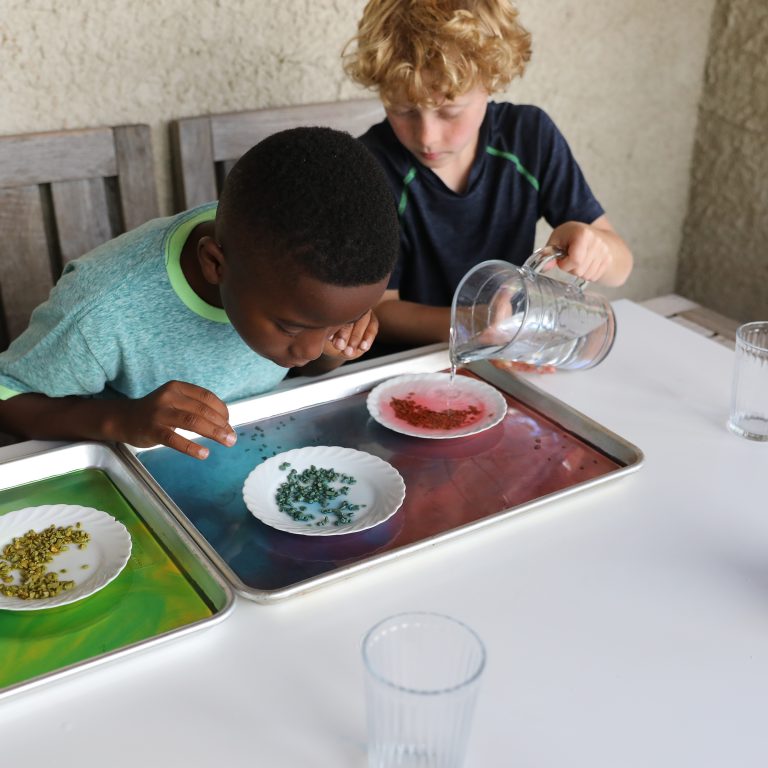 The Kitchen Pantry Scientist