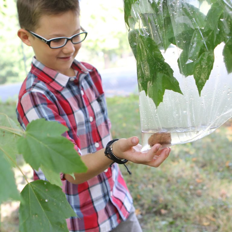 Ten Environmental Science Projects for Earth Day « The Kitchen Pantry ...