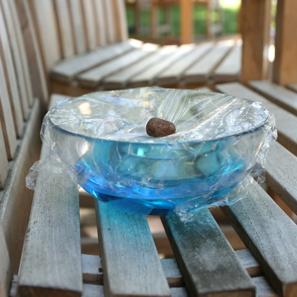 Ten Environmental Science Projects for Earth Day « The Kitchen Pantry ...