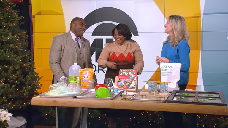 The Kitchen Pantry Scientist