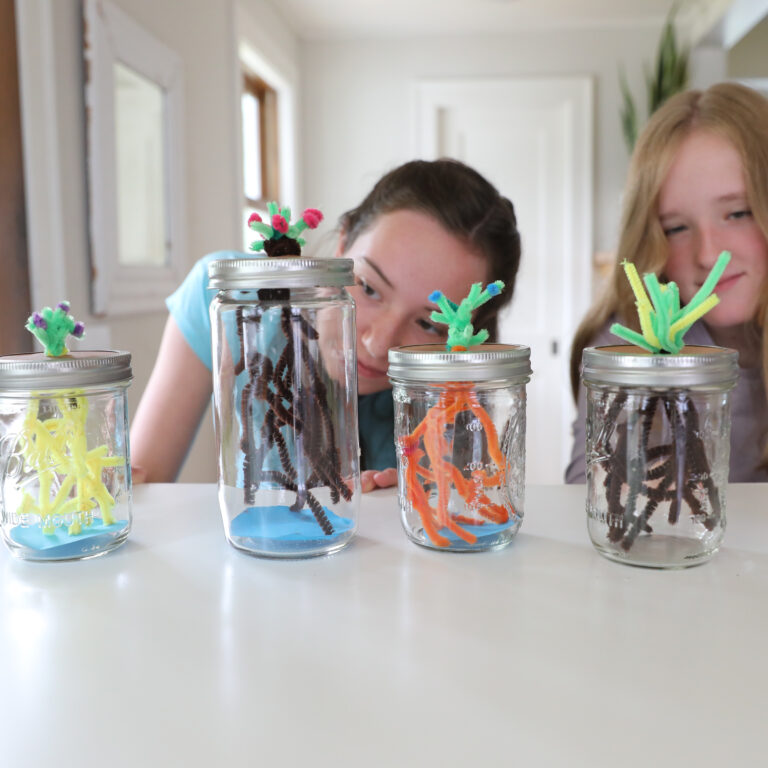 Biology Experiments « The Kitchen Pantry Scientist