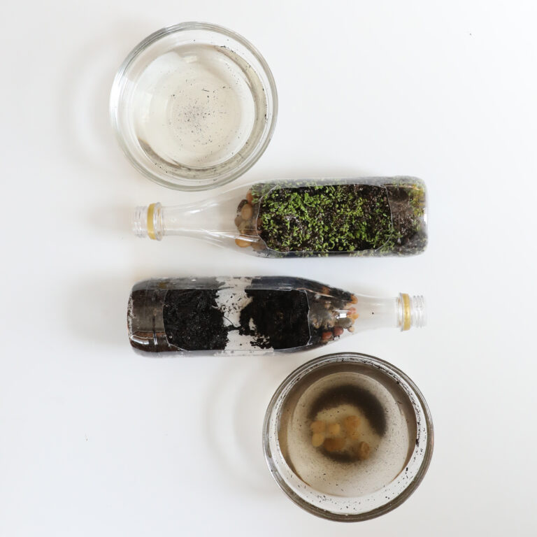 Biology Experiments « The Kitchen Pantry Scientist